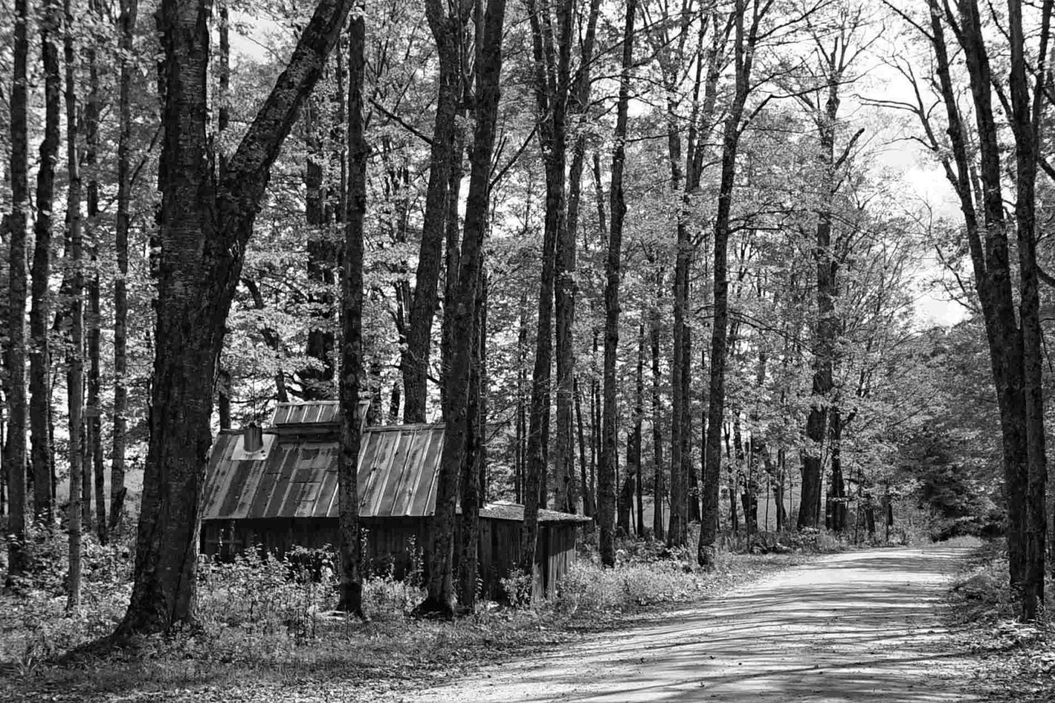 Process | Paul B. Clark, Architect
